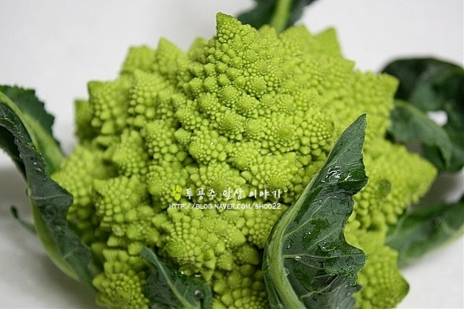 쿠쿠압력밥솥 요리법 브로콜리 그린 콜리플라워 로마네스코romanesco 골뱅이무침 네이버 블로그