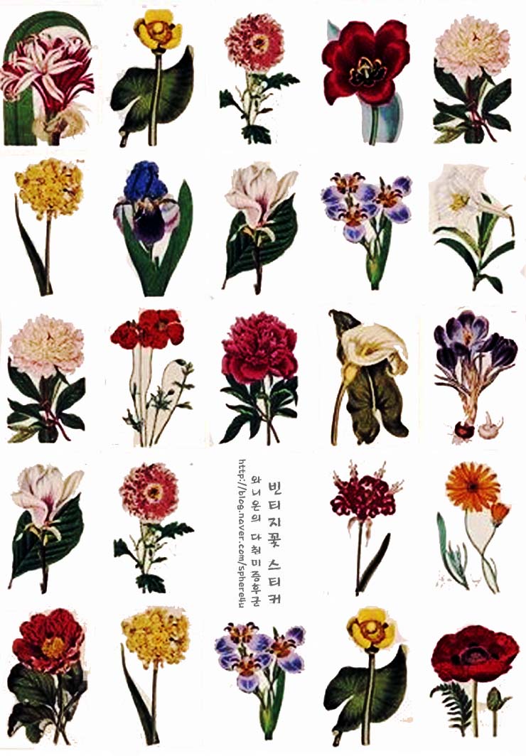 다꾸스티커빈티지스티커 빈티지꽃스티커로 다이어리꾸미기 등에 활용해보세요 활용도 높은 빈티지라벨 네이버 블로그