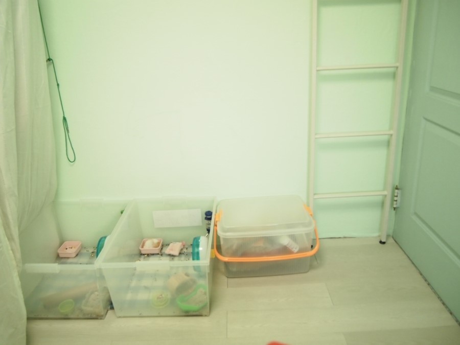 작은방 인테리어이층책상침대 네이버 블로그