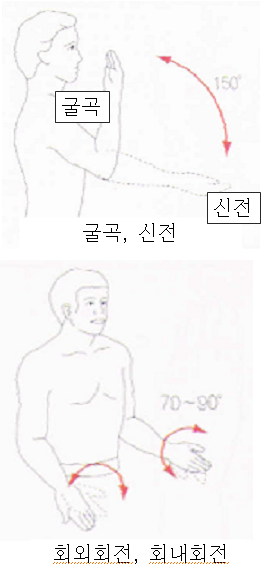 관절 가동 범위 Romrange Of Motion 네이버 블로그