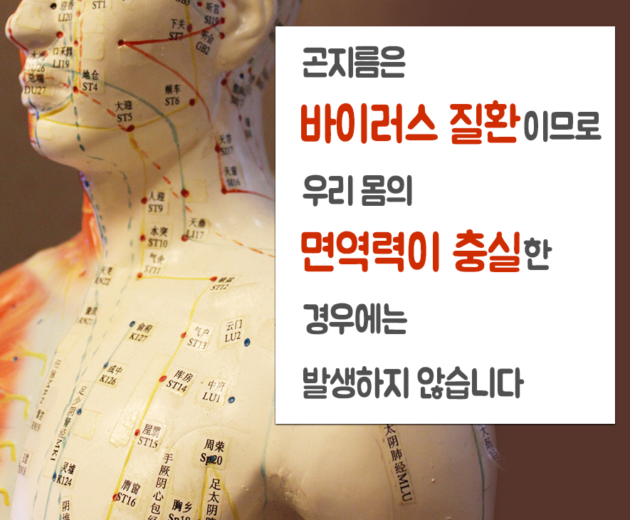부산 성기 사마귀 곤지름 치료는 네이버 블로그