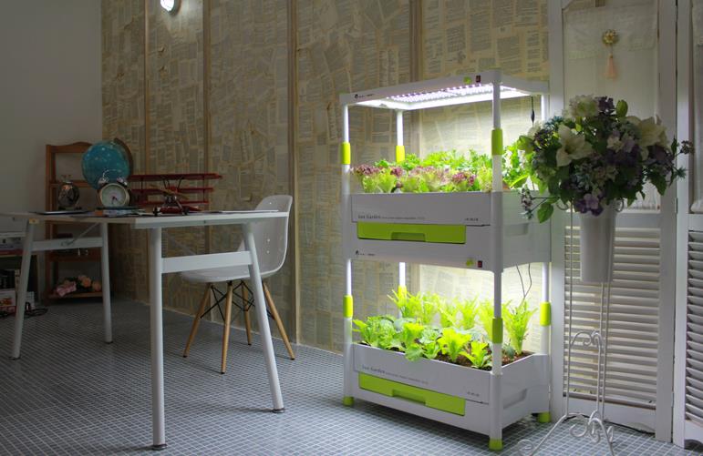 실내텃밭 육묘용 Led 식물 재배기 만들기 네이버 블로그