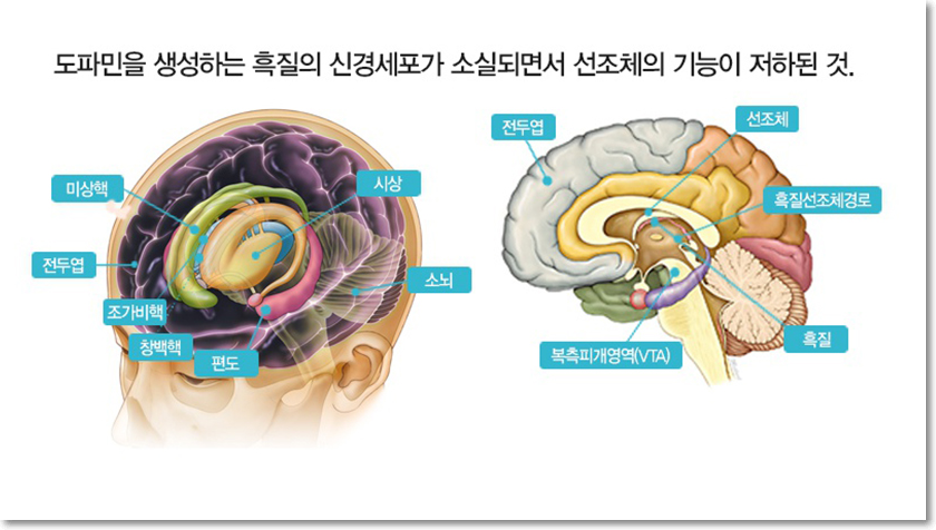 늙을수록 나이들수록 시간이 빨리가는 이유 네이버 블로그