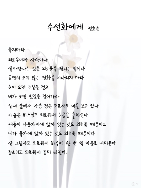 좋은시추천 너에게 별은 너에게로 선운사에서 수선화에게 혼자서 네이버 블로그