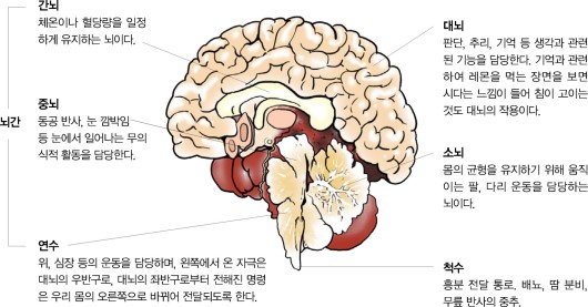 Aneurysm 네이버 블로그