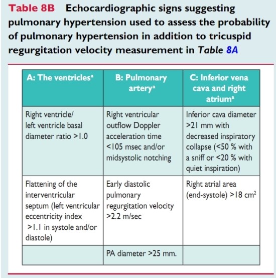 2015 ESC pulmonary arterial hypertension guidelines(PH group I) : 네이버 블로그