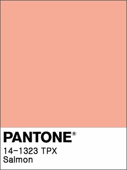 팬톤페인트 이 달의 컬러, 살몬(Salmon) - 셀프페인팅, 셀프인테리어를 위한 사랑스러운 피치핑크 팬톤컬러 추천 : 네이버 블로그