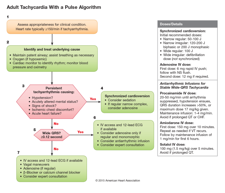 AHA ACLS 2015 Algorithm 알고리즘 : 네이버 블로그