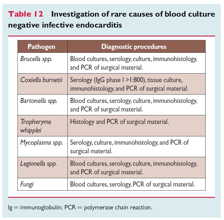 Blood culture–negative infective endocarditis, BCNIE : 네이버 블로그
