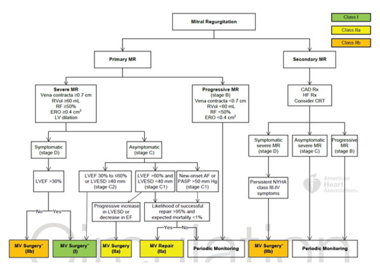 Asymptomatic severe MR: how to manage? (무증상 중증 승모판막 역류의 치료) : 네이버 블로그